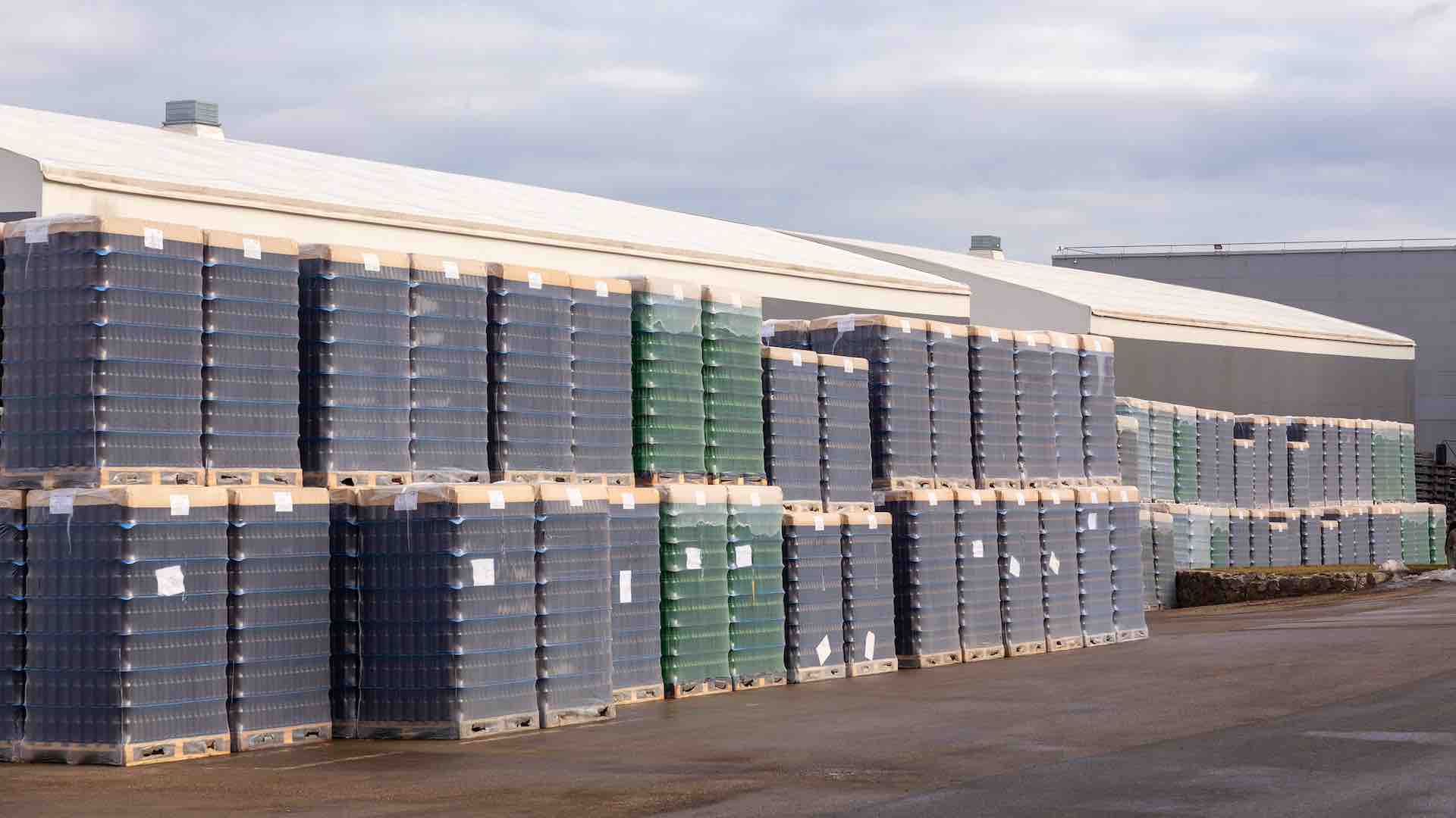 Egypt food exports reach $5.5 billion in first 11 months of 2024 - Arab ...